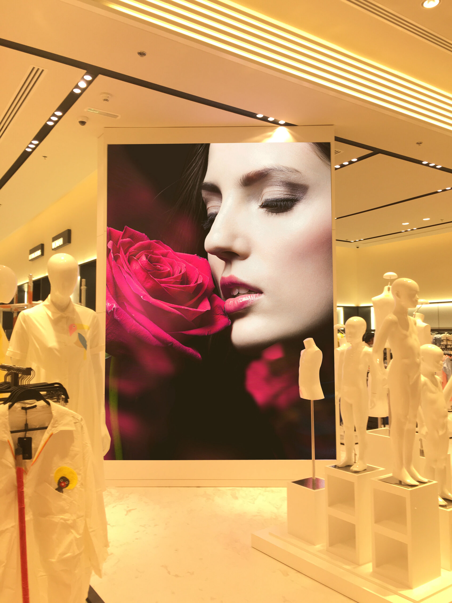 LED Display Screen Manufacturer & LED Display Solution | Ledman