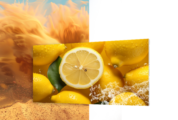 Indoor LED Display Screen | XS-Series | LEDMAN